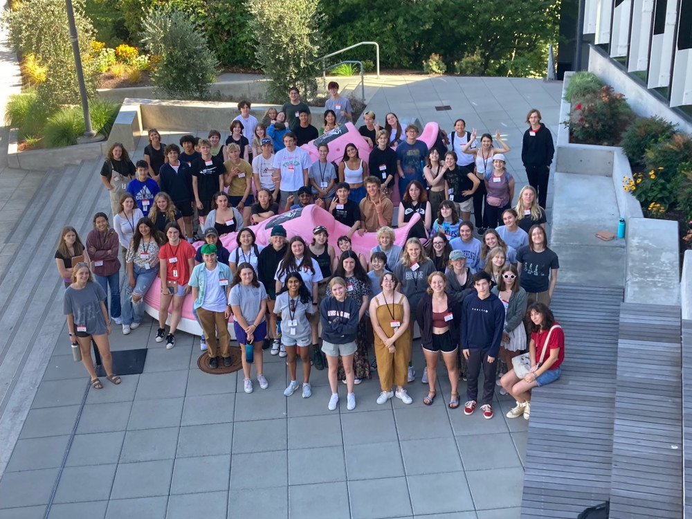 Camp Enrollment Portal